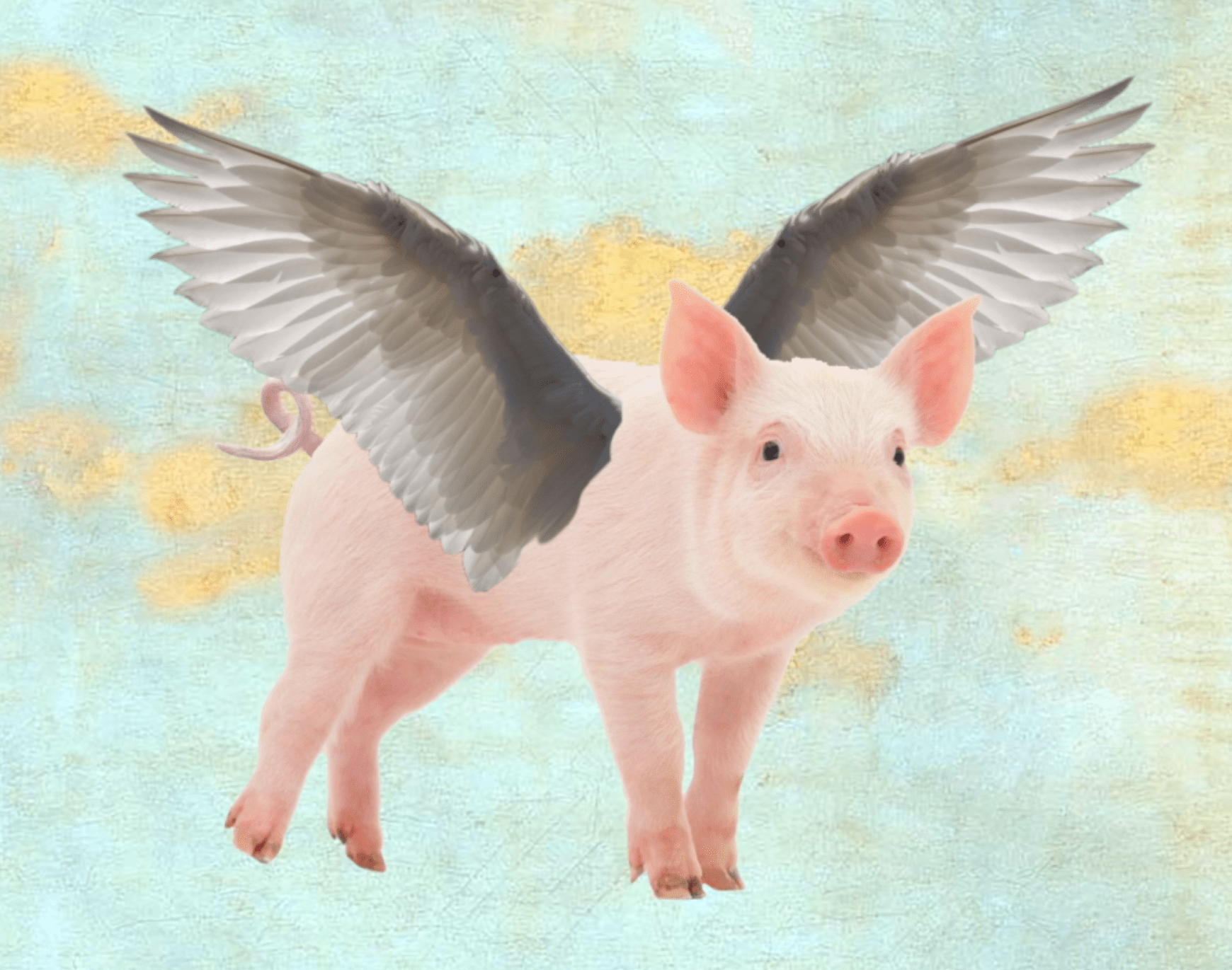 Delia Johnson – Illustrator – Animator